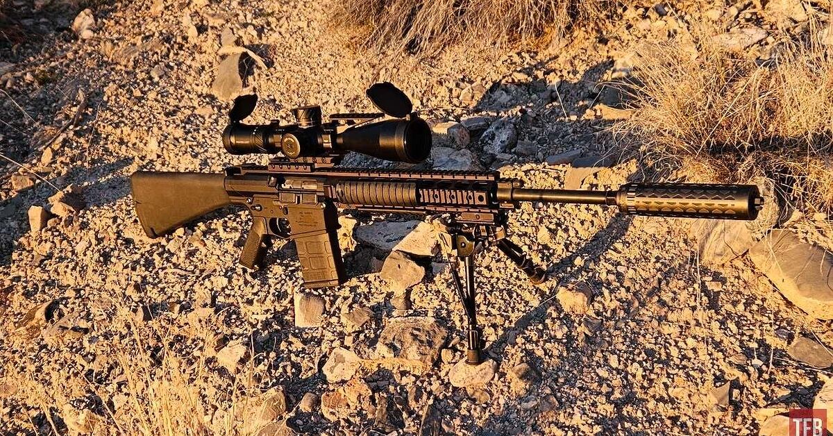 TFB Review: PSA Sabre 10 (Mk11 We Have At Home) - Pew Report
